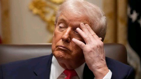 Trump’s Labor Secretary Messes Up So Badly — She’s Now Under ...